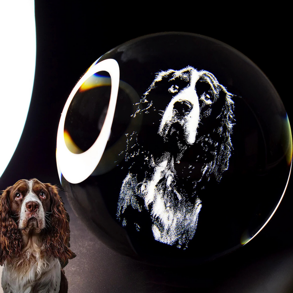 Personalized Light Up Photo Crystal Ball – Bella Olivia Gifts